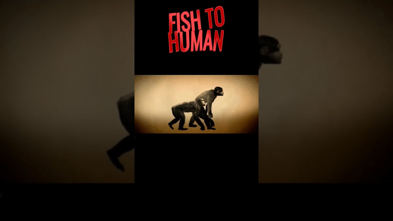Asksia - Learn & Review: Fish to Human Evolution