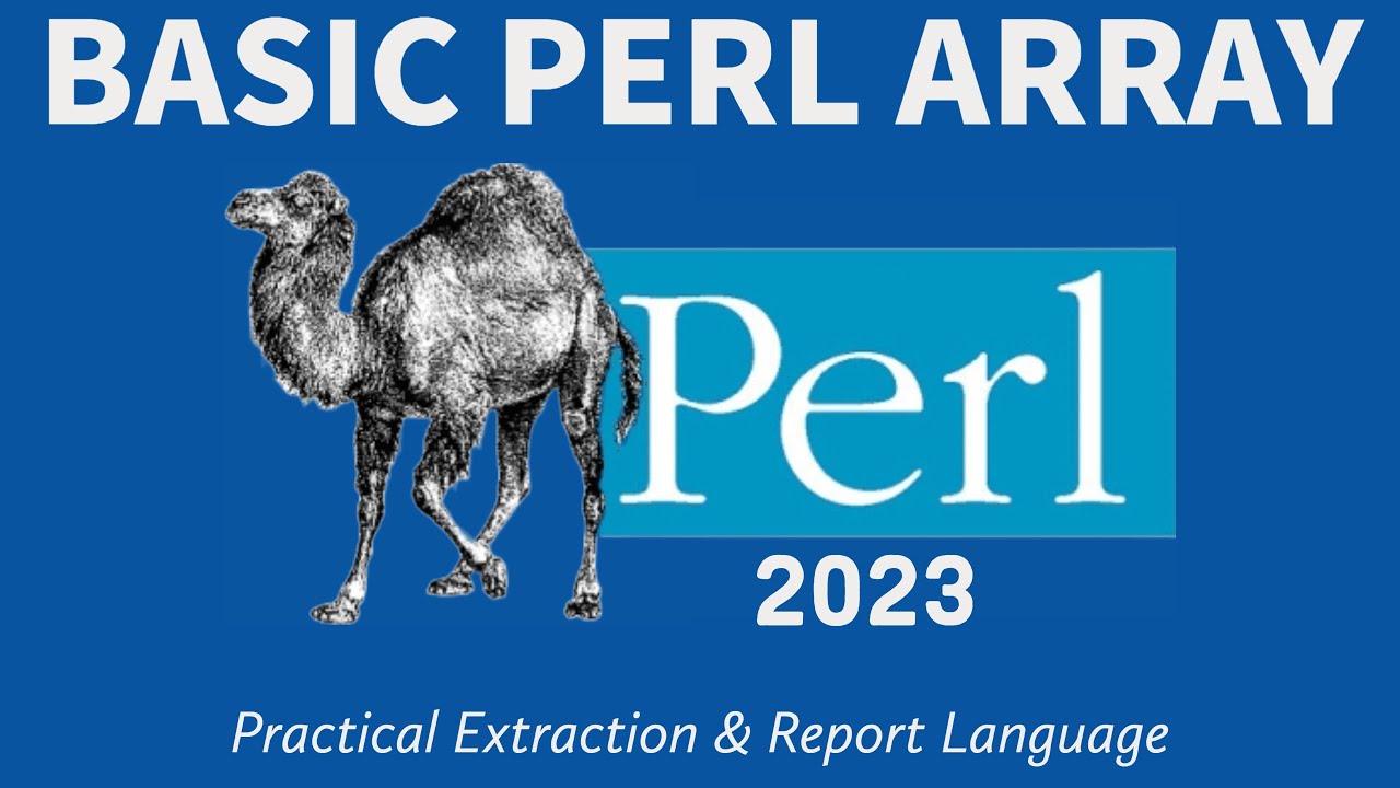 Perl Programming - Basic Array For Complete Beginners 2023