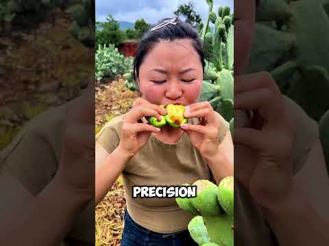 This Is How Prickly Pears Are Collected from Cactus 🌵🍈 #shorts