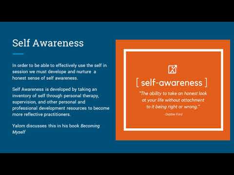 The Role of Self in Psychotherapy: The Power of Vulnerability