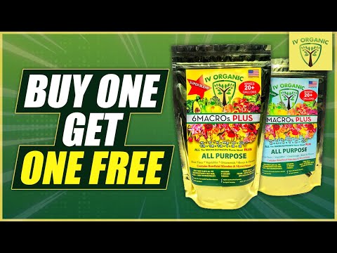 Buy One, Get One FREE | **While Supplies Last**