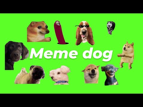 Animated Meme Dog GIF Green Screen Pack (Free Download)