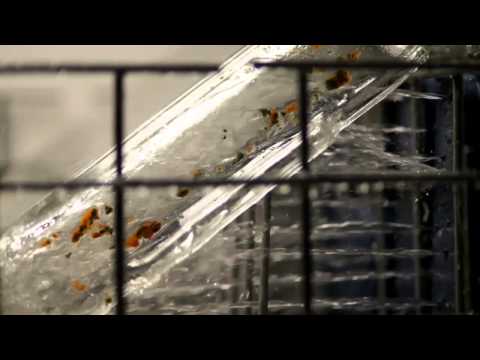 ProScrub Option by KitchenAid® Dishwashers