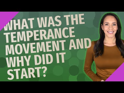 What was the temperance movement and why did it start?