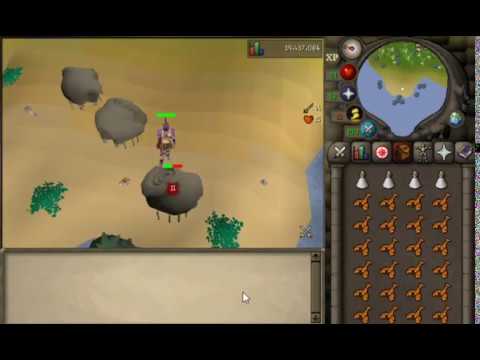 Ammonite Crabs Secret Spot (3 crabs)