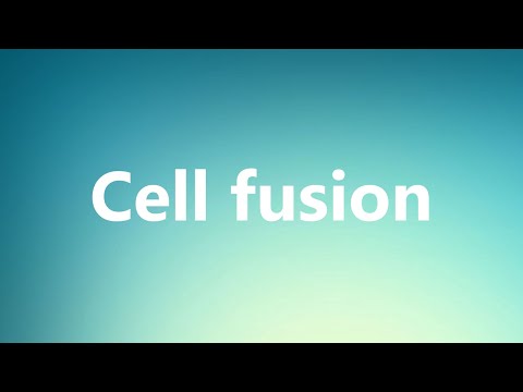 Cell fusion - Medical Definition and Pronunciation