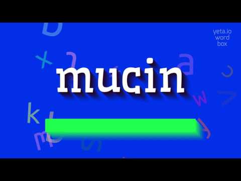 MUCIN - HOW TO PRONOUNCE MUCIN? #mucin