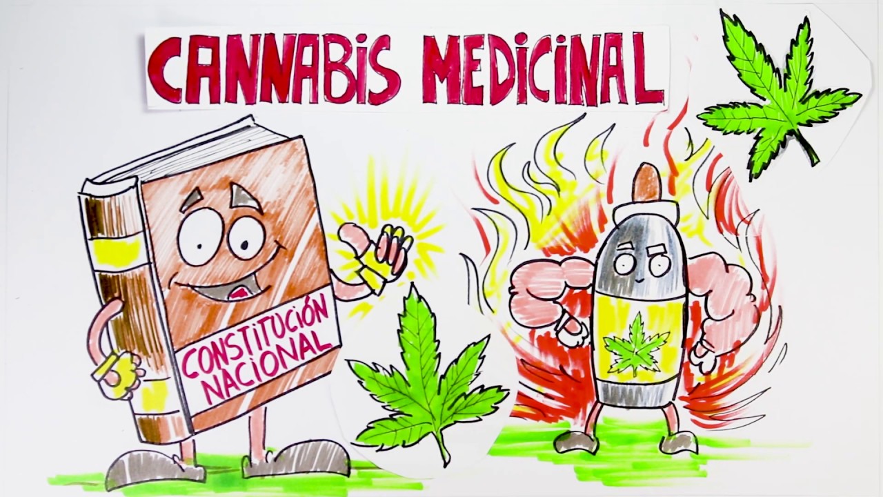 ¿Còmo funciona el CANNABIS MEDICINAL?