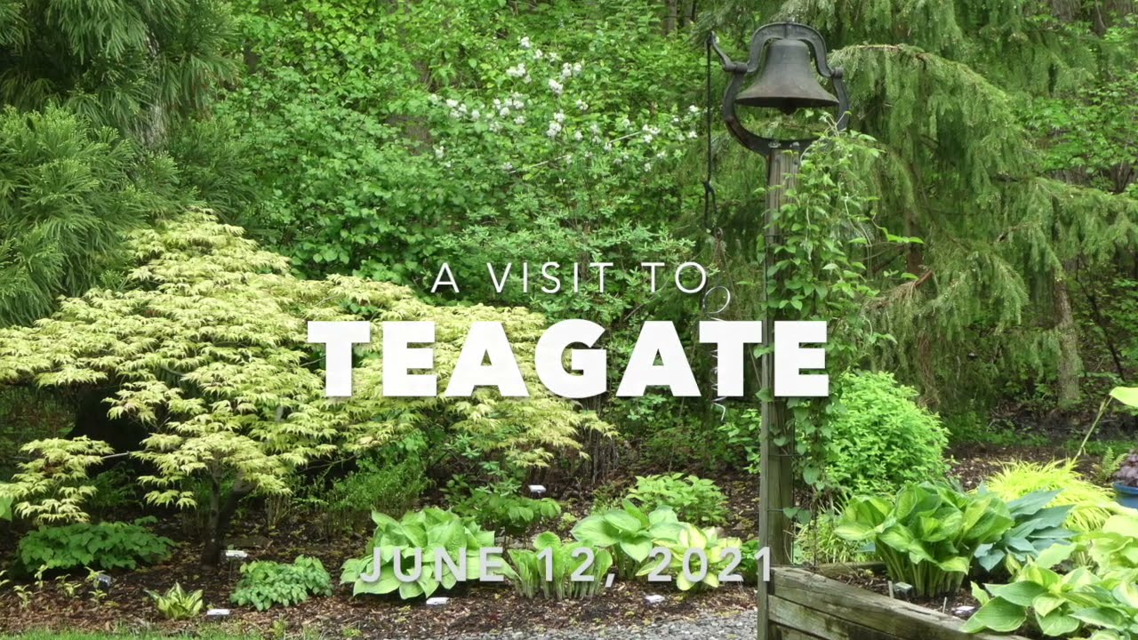 Teagate Tour 2021