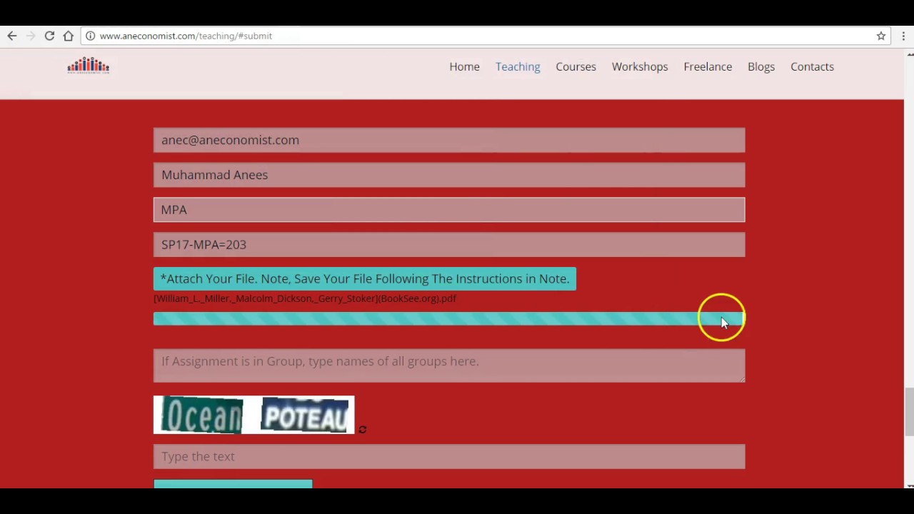 Submitting Econometrics and Economics Assignments Online