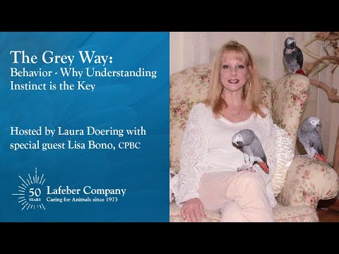 The Grey Way 16: Behavior - Why Understanding Instinct is the Key