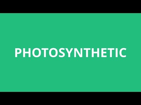 How To Pronounce Photosynthetic - Pronunciation Academy