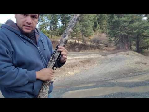 Stoeger M3500