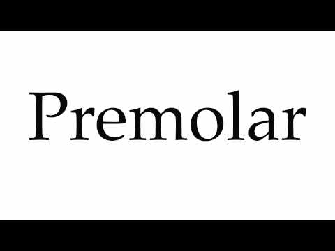 How to Pronounce Premolar