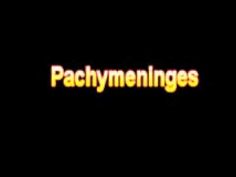 What Is The Definition Of Pachymeninges Medical School Terminology Dictionary
