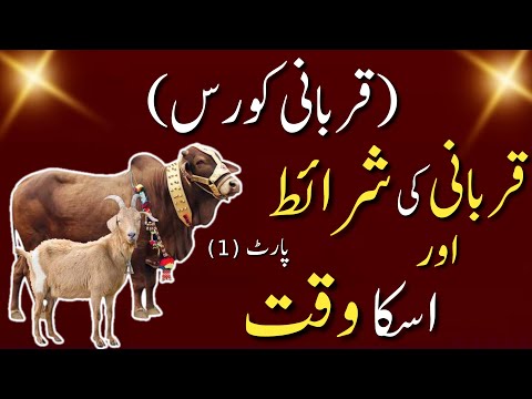Qurbani Course (Part:1) | Al Quran Digital Academy📚