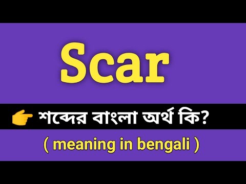 Scar Meaning in Bengali || Scar শব্দের বাংলা অর্থ কি || Bengali Meaning Of Scar