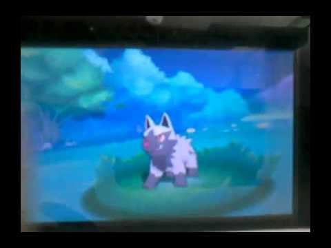 [ORAS ROM-hacking] Editing maps models (and permissions) in Generation ...