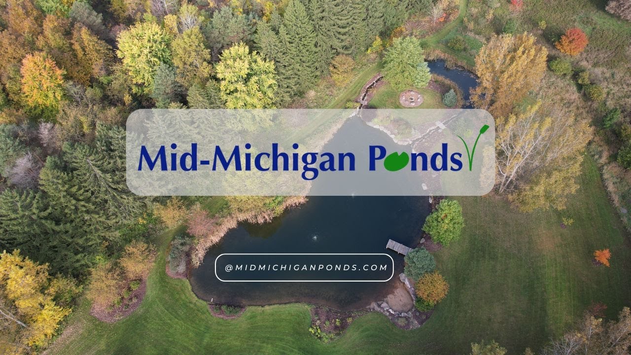 Mid Michigan Ponds