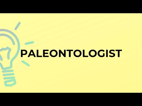 What is the meaning of the word PALEONTOLOGIST?