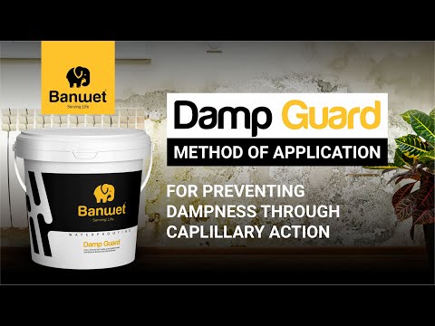 Damp Proof Paint at Best Price in India