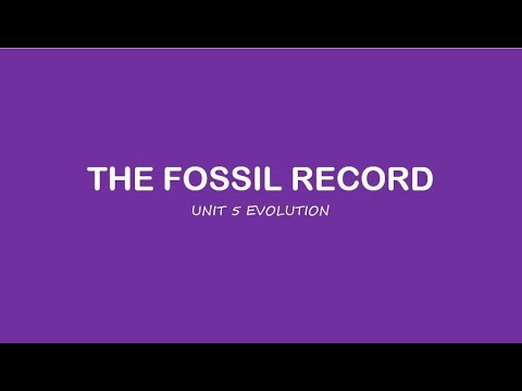 AP Biology: The Fossil Record