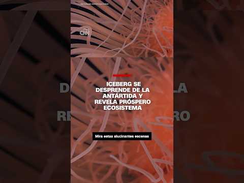 Formulario digital para el ingreso a Cuba: D'VIAJEROS