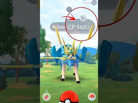 5600+ Cp Best Buddy L51 Shiny Crowned Sword Zacian in Pokemon GO.