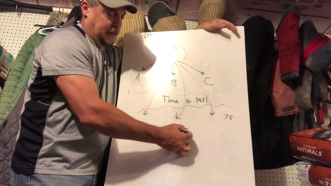 Creating a line of dogs - Ep#217