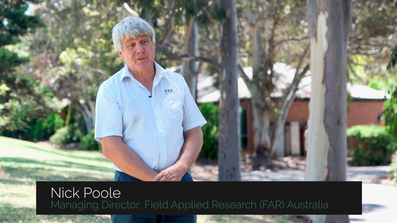 AFREN Part 1/3: Applying fungicide strategically to minimise risk and maximise economic returns