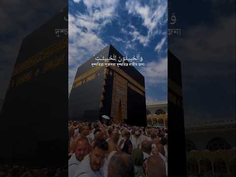 সূরা আন নুর বাংলা অর্থসহ ❤️|| Surah An Nur with Bangla translation || #surah #surahannur