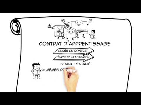 CCI Nord de France - Tout savoir sur l'apprentissage