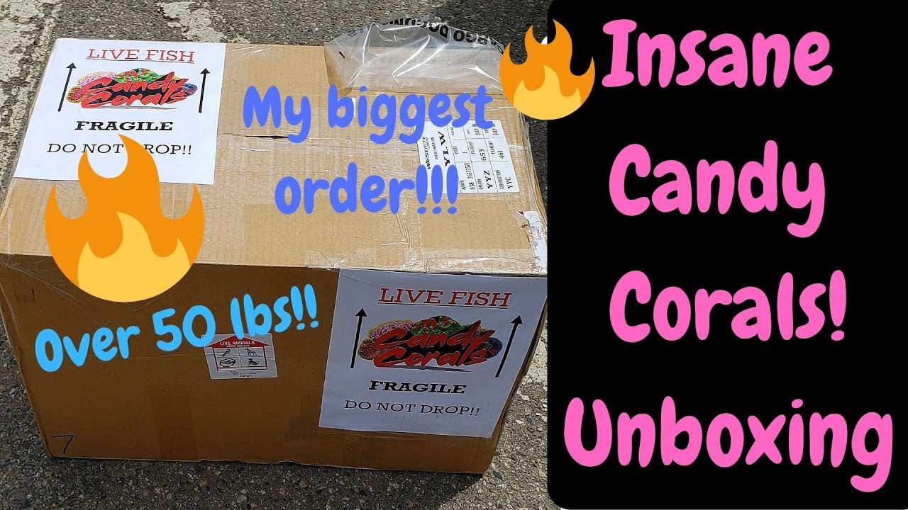 Candy Corals Unboxing