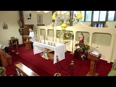 Daily Readings and Homily - 2025-06-19 - Msgr. Charles Pope