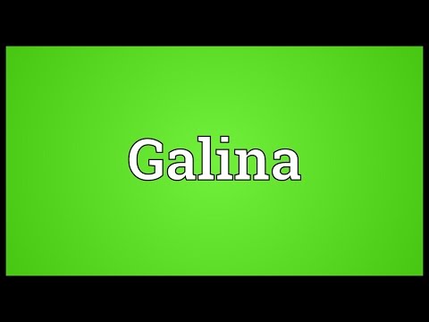Galina Meaning