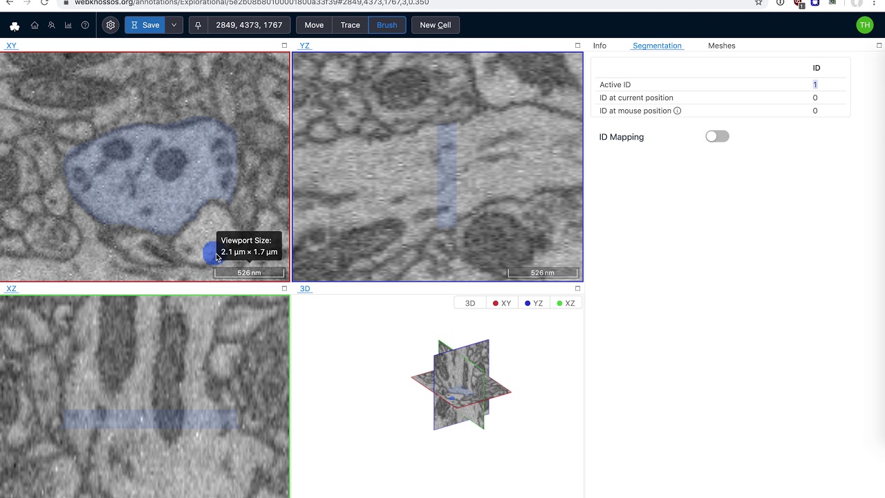 webKnossos: Creating Volume Annotations