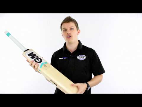 GM Cricket Bat Retailers & Dealers in India