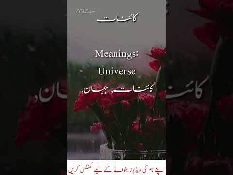 Kainaat Name Meaning In Urdu #shorts #shortvideo
