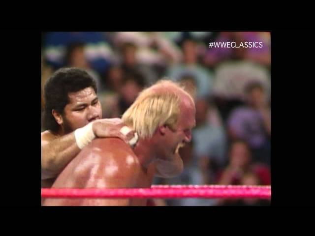 WWE History Vol. 3: The Kings of Wrestling