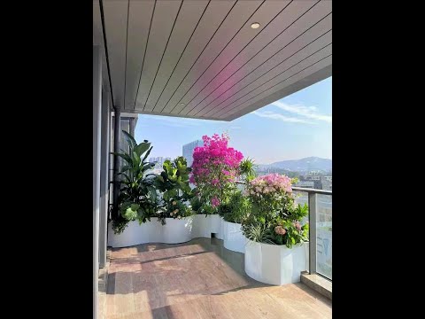 If there are ranks for the garden on the balcony, where is my wave-shaped garden ranked? #My balcon