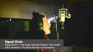 Soyuz SU-017 Large Diaphragm Tube Condenser Microphone - What To Know ...