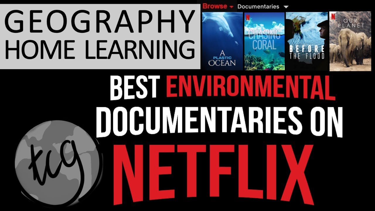 the BEST ENVIRONMENTAL documentaries on Netflix!!