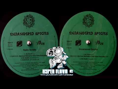 Endangered Species - No Doubt / S.M.O.K.E. (Full Vinyl, 12'') (1995)