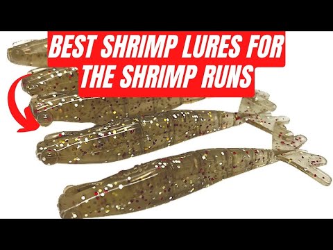 Best SHRIMP LURES For The SHRIMP RUNS