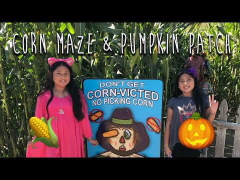 T&K TV: Extra - G&M Farms Corn Maze & Pumpkin Patch