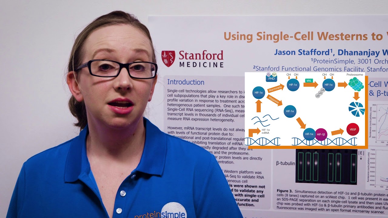 Using Single-Cell Westerns to Validate Single-Cell RNA-Seq Data| Bio-Techne