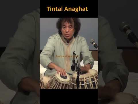 Ustad Zakir Hussain | Tintal Anaghat #ustadzakirhussain #music #drums #tabla #musica