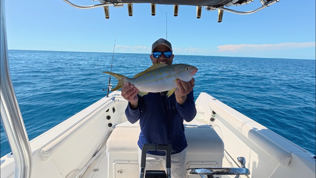 NO LIVE BAIT? (EASY) Florida Keys Yellowtail Snapper Fishing with frozen bait