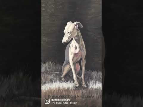 Italian Greyhound Dog Art, with sunshine that brings it to life. 🐾💕☀️