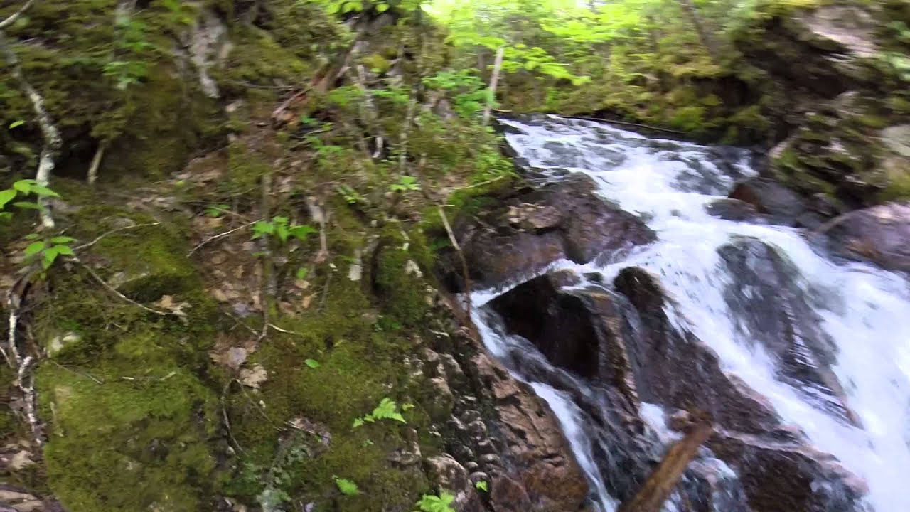 MacIsaac Brook Falls, Nova Scotia